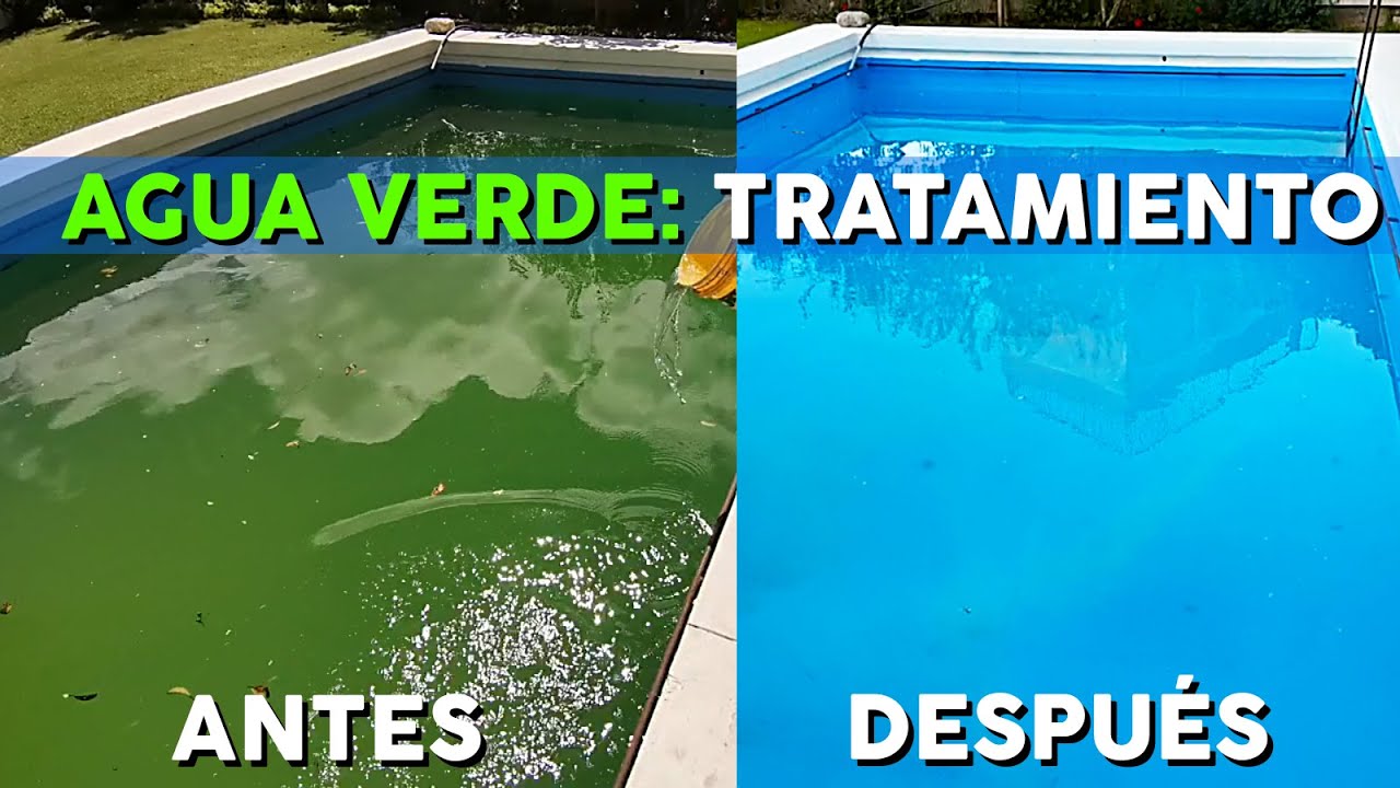 Cómo limpiar el agua de la piscina cuando está verde ️