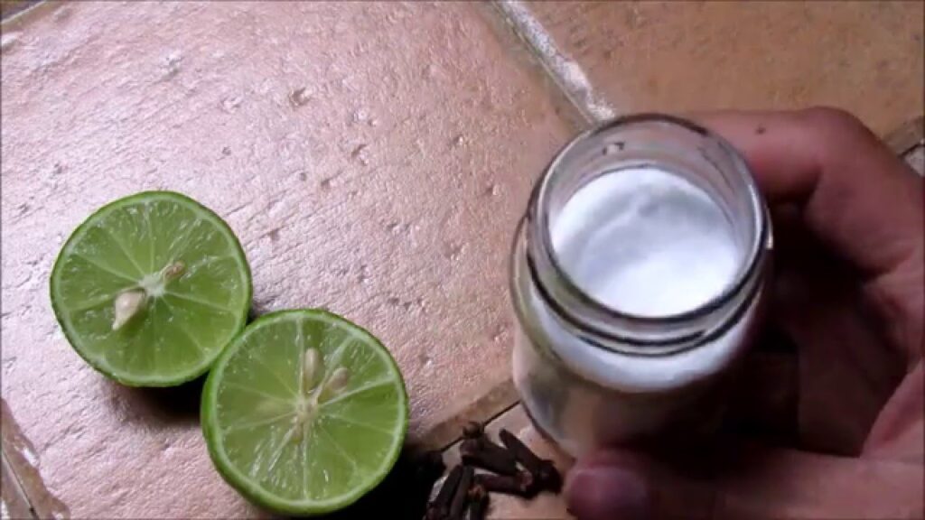 Cómo quitar el olor a podrido de la nevera ️